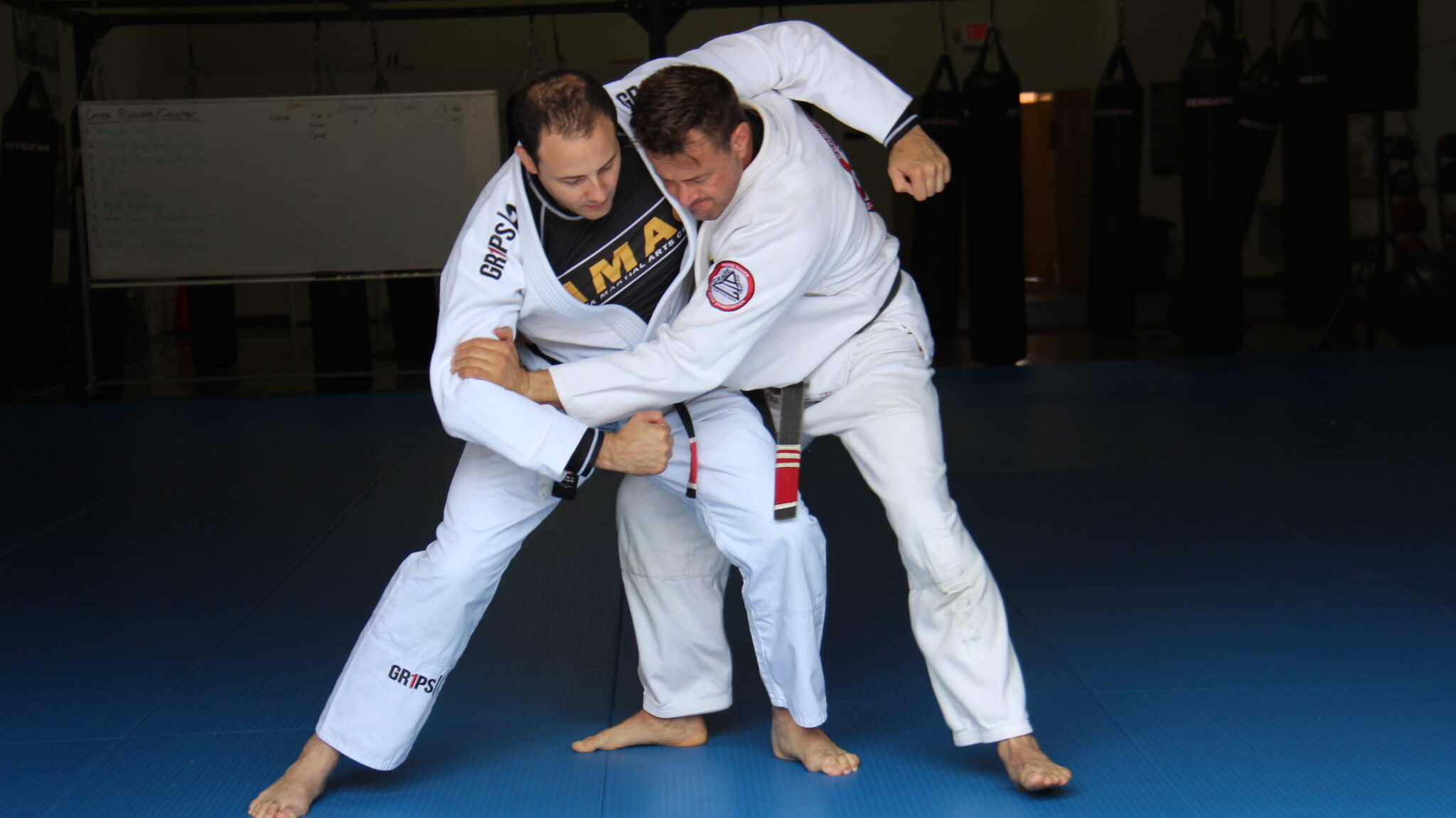 Professor Alan Baker's ONLINE JIU-JITSU ACADEMY