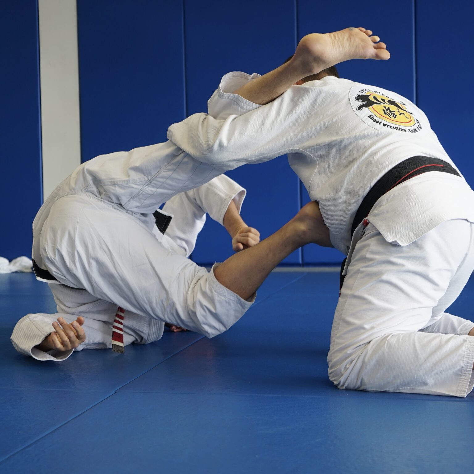 Weaponized Grappling - Sifu Alan Baker